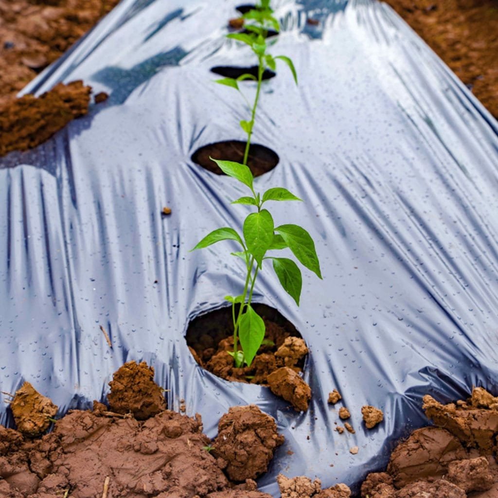 Agriculture Products | Biodegradable Mulch Film